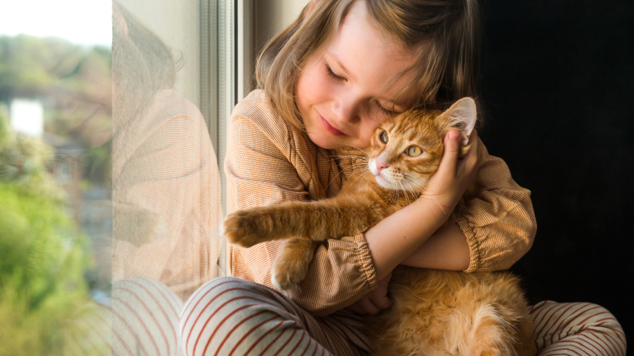 Signs of Stress in Cats and How To Relieve It